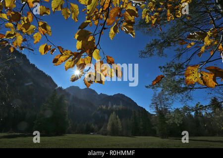 05 November 2018, Bavaria, Schwangau: Neuschwanstein Castle stands ...