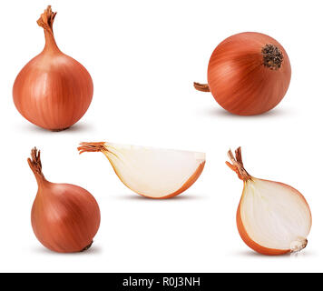 Ripe juicy white onion whole bulb Stock Photo - Alamy
