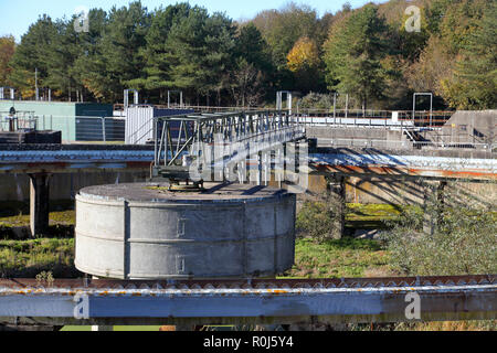 The "settlement" tanks that collect all the small matter to allow the ...