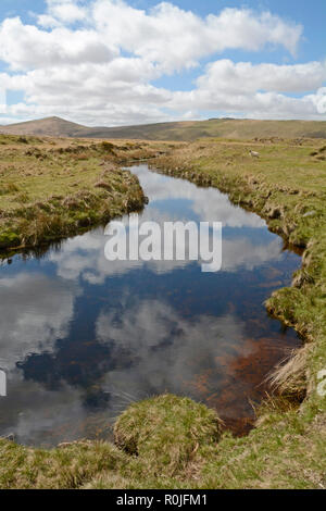 The River Taw near its source on northern Dartmoor, Devon Stock Photo ...