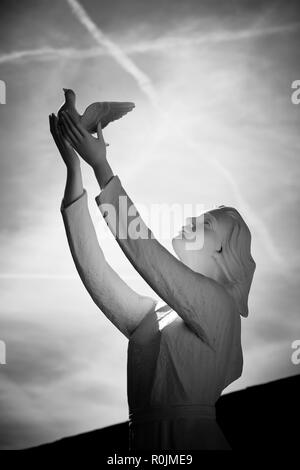 Woman releasing white dove into sky Stock Photo - Alamy