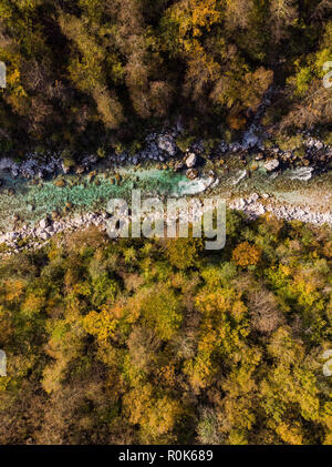 Colorful forest in Soca river valley,aerial drone view, Slovenia Stock ...