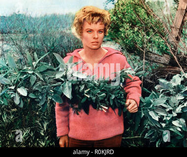 Heroes Die Young, aka: Keinen Pfifferling für Stoßtrupp Z, USA 1960 ...