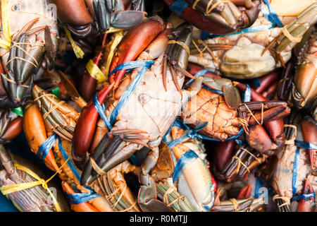 Food tourism concept: Fresh seafood in outdoor fish market Bali ...