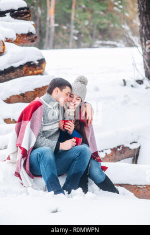 Two cups of hot cocoa or hot coffee latte with cinnamon, fir tree and ...