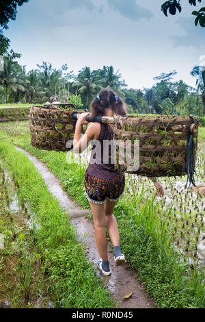 Girl portrait in Ubud. Bali. Indonesia. Ubud is a town on the ...
