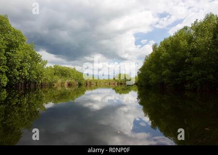 Black River St Elizabeth Jamaica West Indies Central America Stock ...