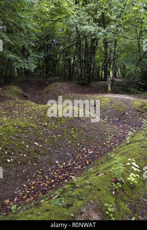 Remnants of World War One trenches from the Battle of Verdun, France ...