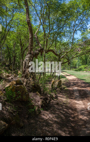 Nkwe Nature reserve and recreational area, Pretoria, South Africa Stock ...