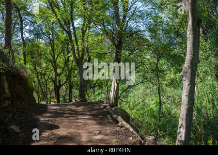 Nkwe Nature reserve and recreational area, Pretoria, South Africa Stock ...