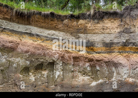 Layers of mixed volcanic sediments, Iztaccihuatl Popocatepetl National ...