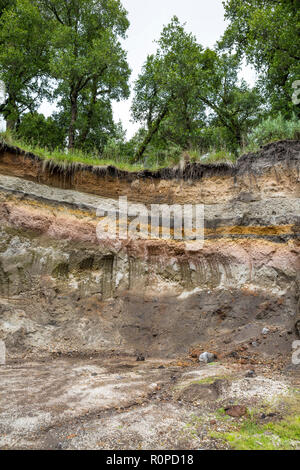 Layers of mixed volcanic sediments, Iztaccihuatl Popocatepetl National ...