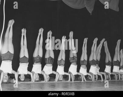 sports, gymnastics, girl group on bicycle, formation, gymnasium, Bad ...