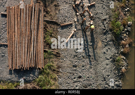 Deforestation, clearance,clearing, removal,forest, trees, land ...