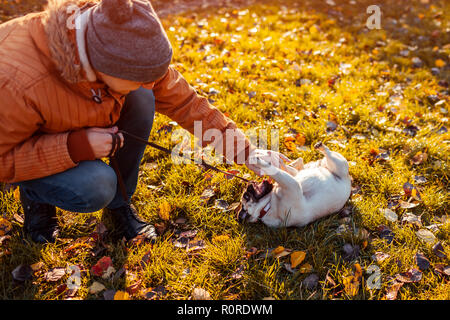 Master walking pug dog in autumn park. Happy puppy jumping on woman's ...