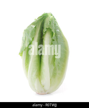 Cos leave isolated on white background Stock Photo - Alamy