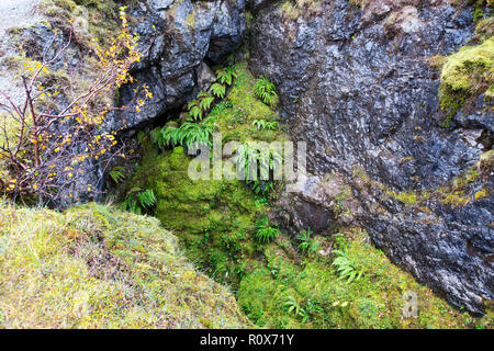 The Traligill caves at Inchnadamph, Assynt, Scotland, UK Stock Photo ...