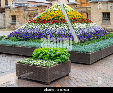 Pyramid shaped flower bed in Macquarie Street in front of Hyde Park ...