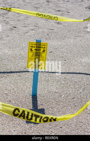 sea turtle nest do not disturb sign on beach at marineland florida usa ...