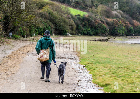 A man walking his dog on the Gannel estuary in Newquay in Cornwall ...