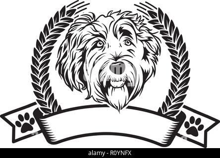 Labradoodle Dog Breed Head Isolated Pedigree Pet Portrait Smiling Happy ...