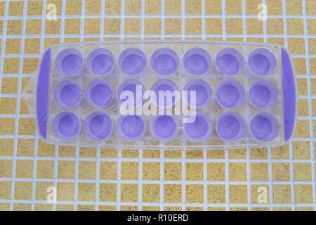 The water is poured into a purple plastic ice mold Stock Photo - Alamy