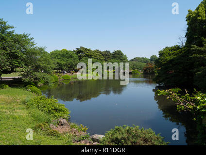 People walk through Yoyogi Park in Tokyo, Japan Stock Photo - Alamy