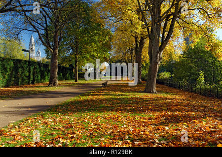 Autumn colours, Bute Park, Cardiff, Wales Stock Photo - Alamy