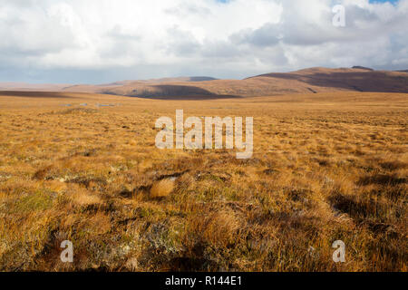 Peat moorland in the flow country of Sutherland near Baslchrick ...