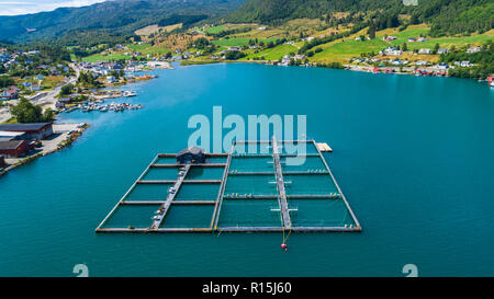 Salmon fish farm in fjord. Norway, Bergen Stock Photo - Alamy