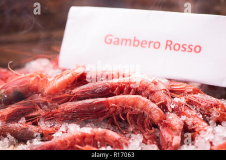 Red prawns from mediterranean sea Stock Photo - Alamy