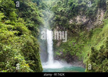 Tropical rainforest, Banaue and Batad, Luzon, Philippines, Asia Stock ...