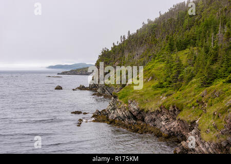 CAPE RANDOM, NEWFOUNDLAND, CANADA - View of coast from Random Passage ...