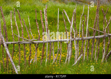 CAPE RANDOM, NEWFOUNDLAND, CANADA - Wooden fence and flowers, Random ...