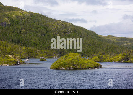 CAPE RANDOM, NEWFOUNDLAND, CANADA - Pond Stock Photo - Alamy
