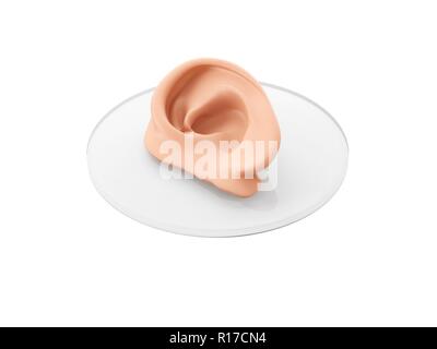 Concept of bioprinting of tissues and organs on white background. 3D ...