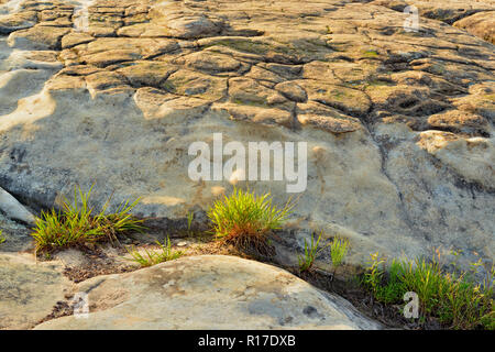 Weathered Hartshorne Sandstone rocks at Rock House Cave- Turtle Rocks ...