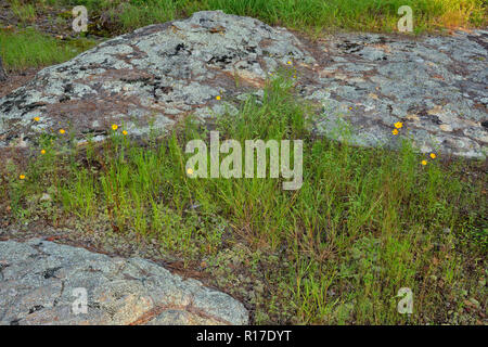 Weathered sandstone rocks at Rock House Cave- Turtle Rocks, Petit Jean ...