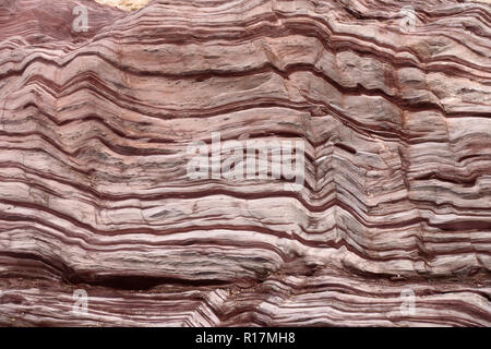 Silty-banded slates of Meadfoot Beds on the North end of South Milton ...
