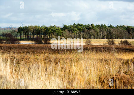 Fannyside Loch near Slamannan, Scotland, UK Stock Photo - Alamy