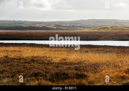 Fannyside Loch near Slamannan, Scotland, UK Stock Photo - Alamy