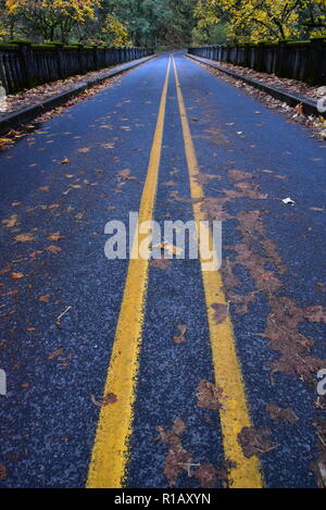 Road centerline looking across an old bridge Stock Photo - Alamy