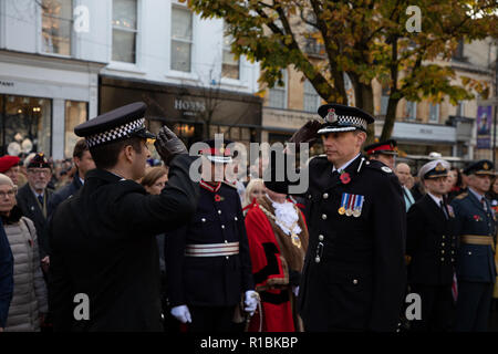 Police officers saluting Stock Photo: 19366645 - Alamy