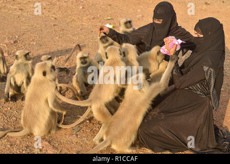 Pushkar, India. 10th Nov, 2018. Muslim women feeding monkeys in Pushkar ...