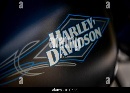 The sign and logo signature of the famous Harley Davidson brand form a ...