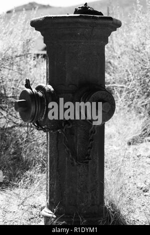 NYC Bronx fire hydrant Stock Photo - Alamy