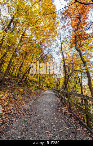 Colorful autumn leaf foliage branch. Fall season nature background ...