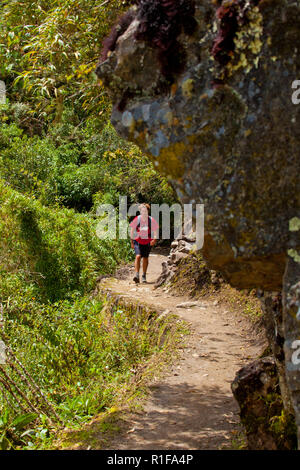 Matsu Pitsu ancient route and path Stock Photo - Alamy