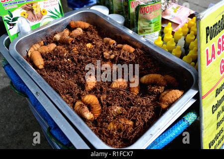 Selling Zurit amazon worm used as a natural remedy - Market in HUARAZ ...
