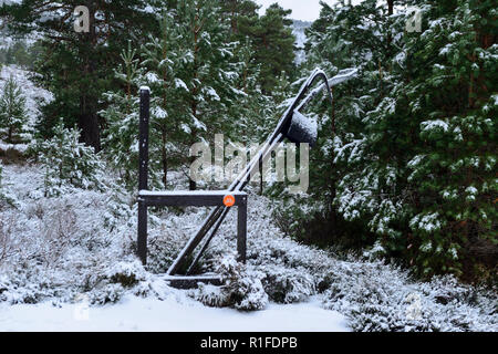 Fire Beaters in a forest Stock Photo - Alamy